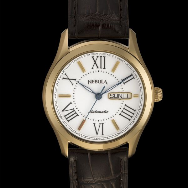 Buy Online Titan Nebula Swiss Automatic 18 Karat Solid Gold Watch for ...