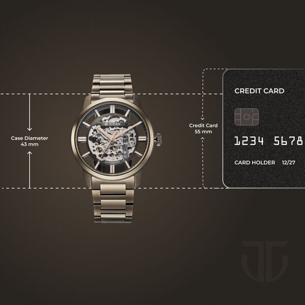 Buy Online Titan See-Through Skeletal Automatic Analog with Black Dial ...