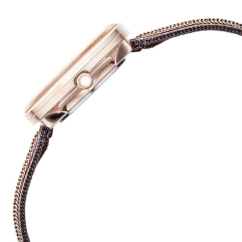 Buy Online Titan Raga Delight Rose Gold Dial Women Watch With Stainless ...