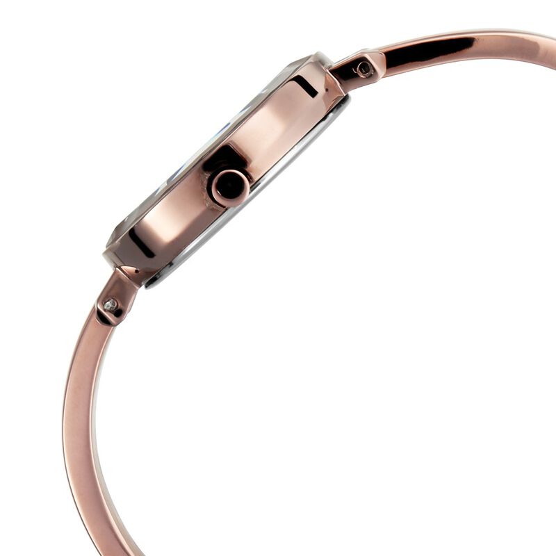 Buy Online Titan Quartz Analog Brown Dial Metal Strap Watch for Women ...