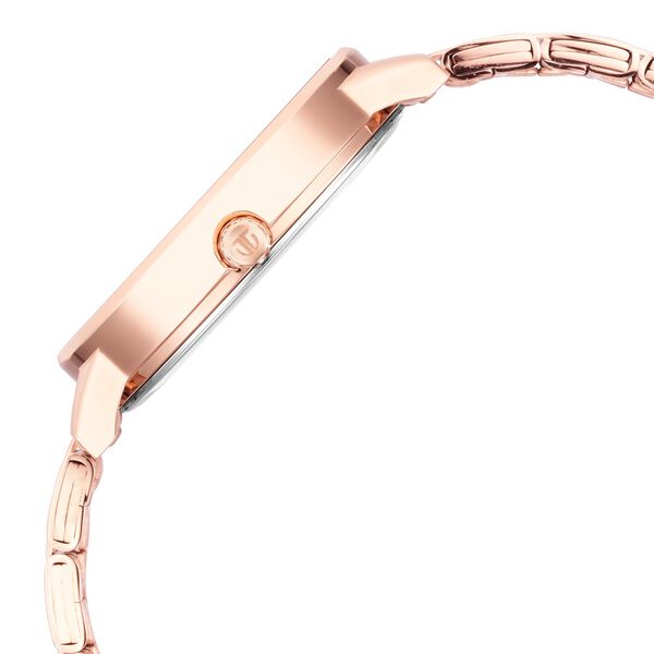 Buy Online Titan Workwear Quartz Analog with Day and Date Rose Gold ...
