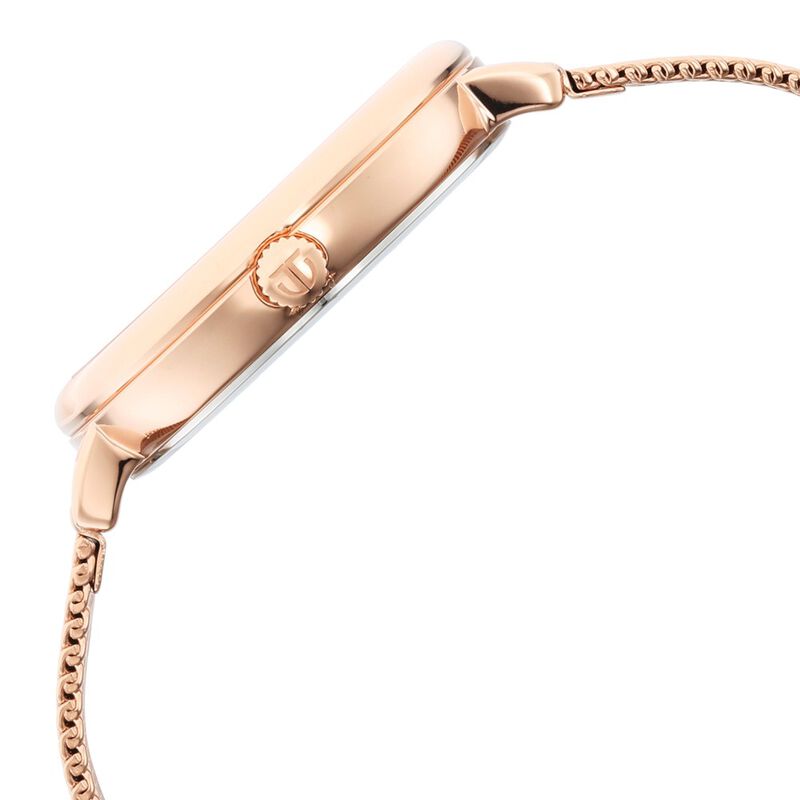 Buy Online Titan Purple Rose Gold Dial Analog Stainless Steel Strap ...