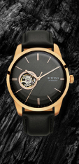 Titan Automatics Watches | Titan