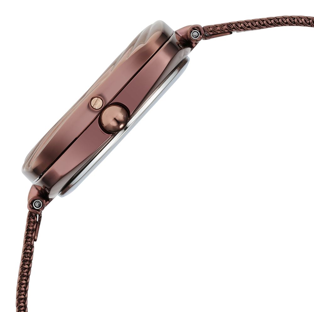 Buy Online Titan Raga Moments of Joy Brown Dial Analog Stainless Steel ...
