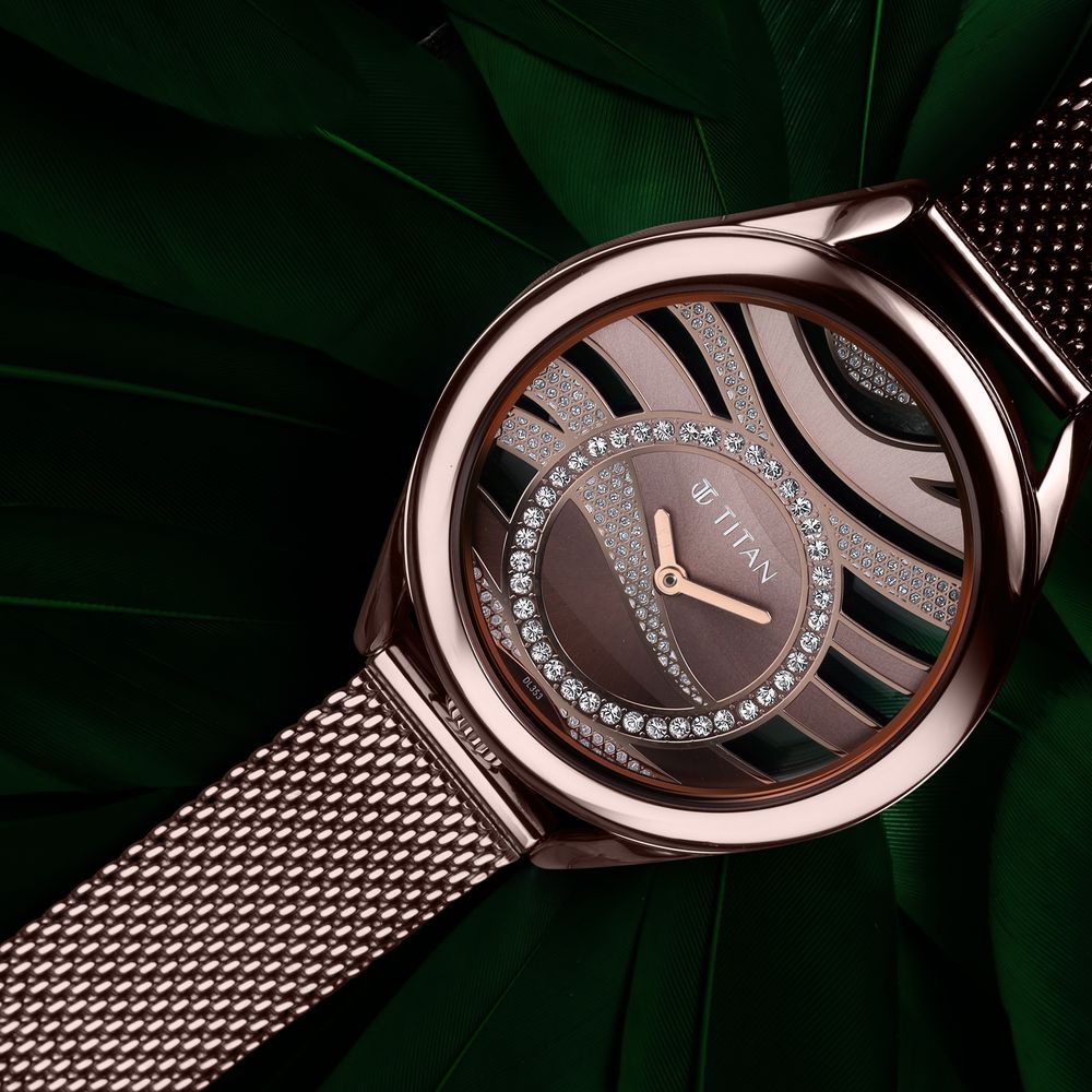 Buy Online Titan Animalia Quartz Analog Stainless Steel Strap Watch for ...