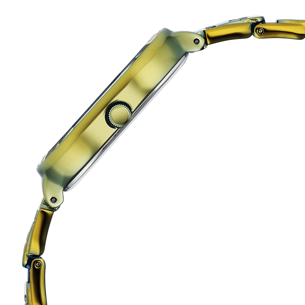 Buy Online Titan Raga Chic Quartz Analog Green Dial Green Metal Strap ...