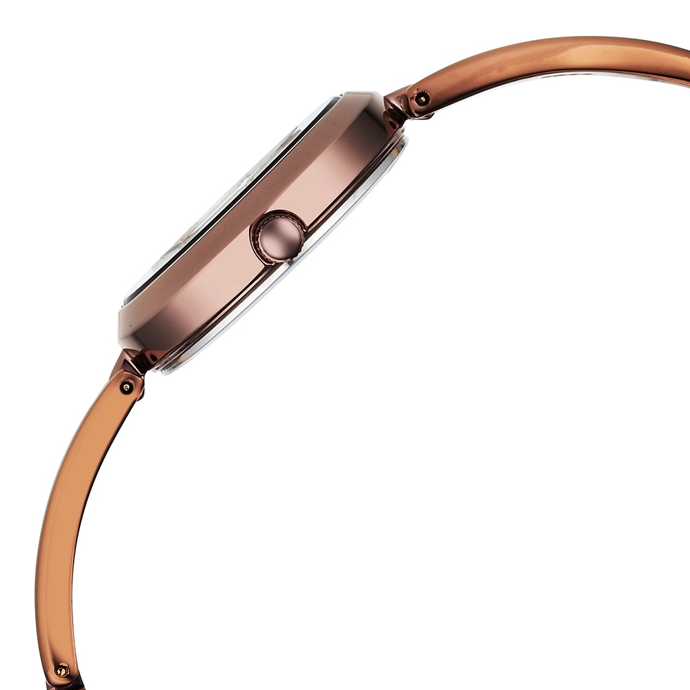 Buy Online Titan Raga Viva Quartz Analog Brown Dial Brown Metal Strap ...