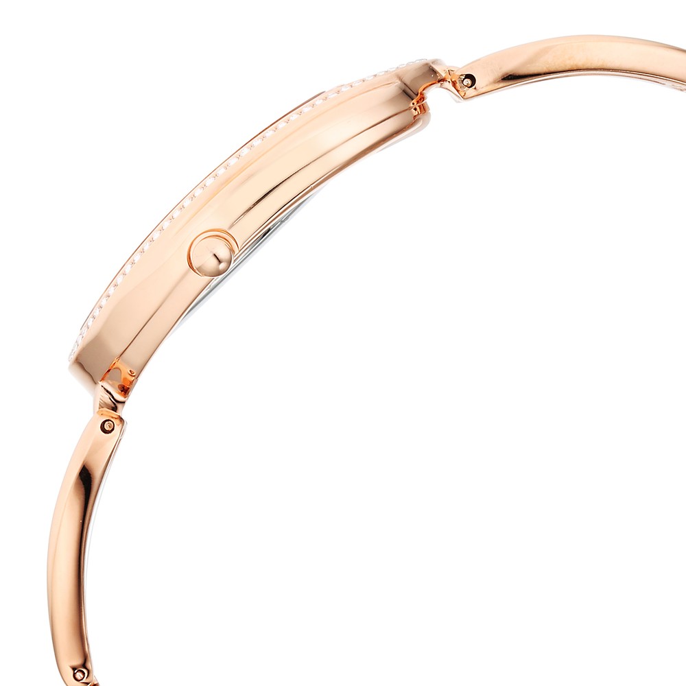 Buy Online Titan Raga Delight Brown Dial Analog Stainless Steel Strap ...